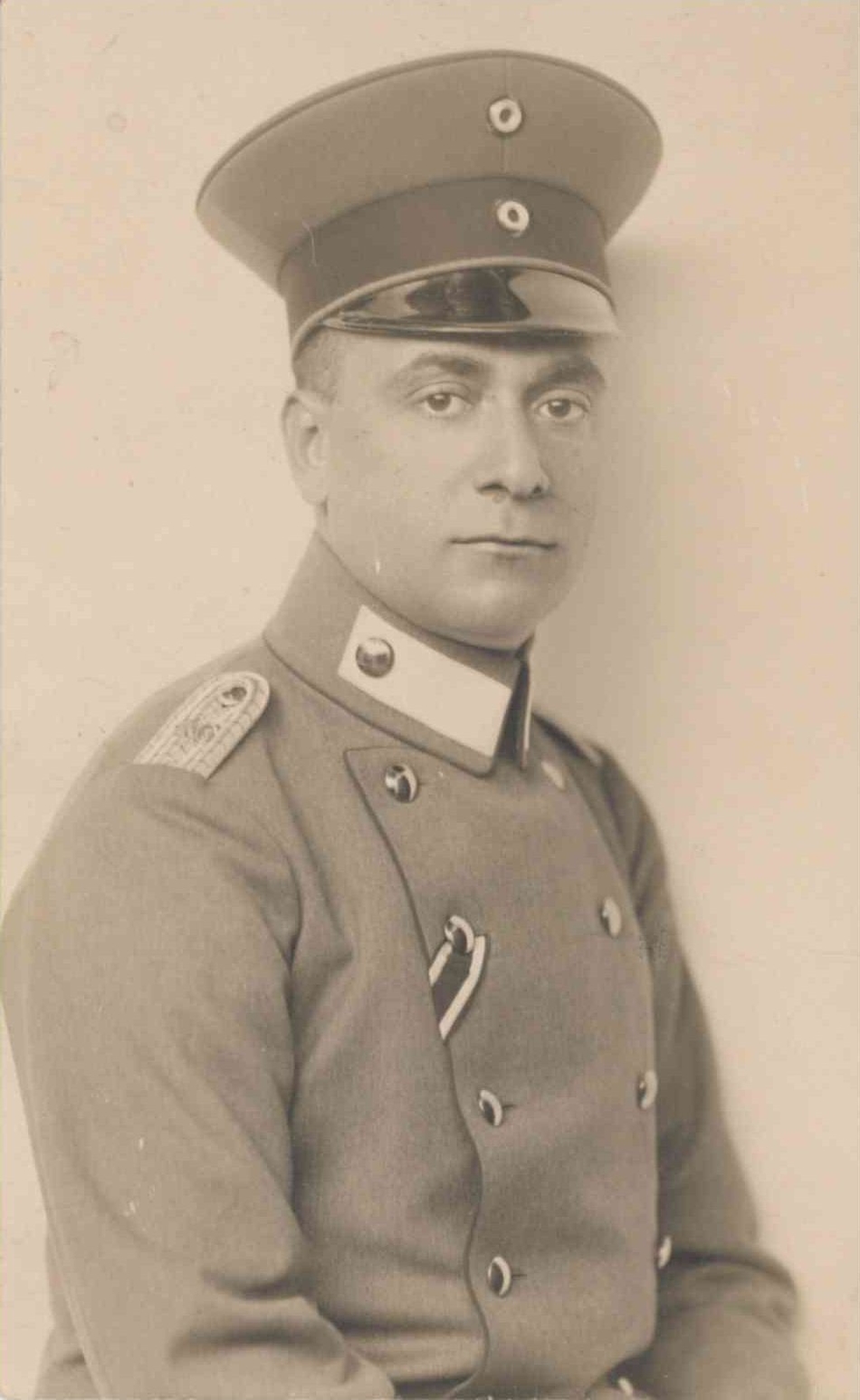 The Schweitzer Fürstenheim Family: a Tale of Generations and ...