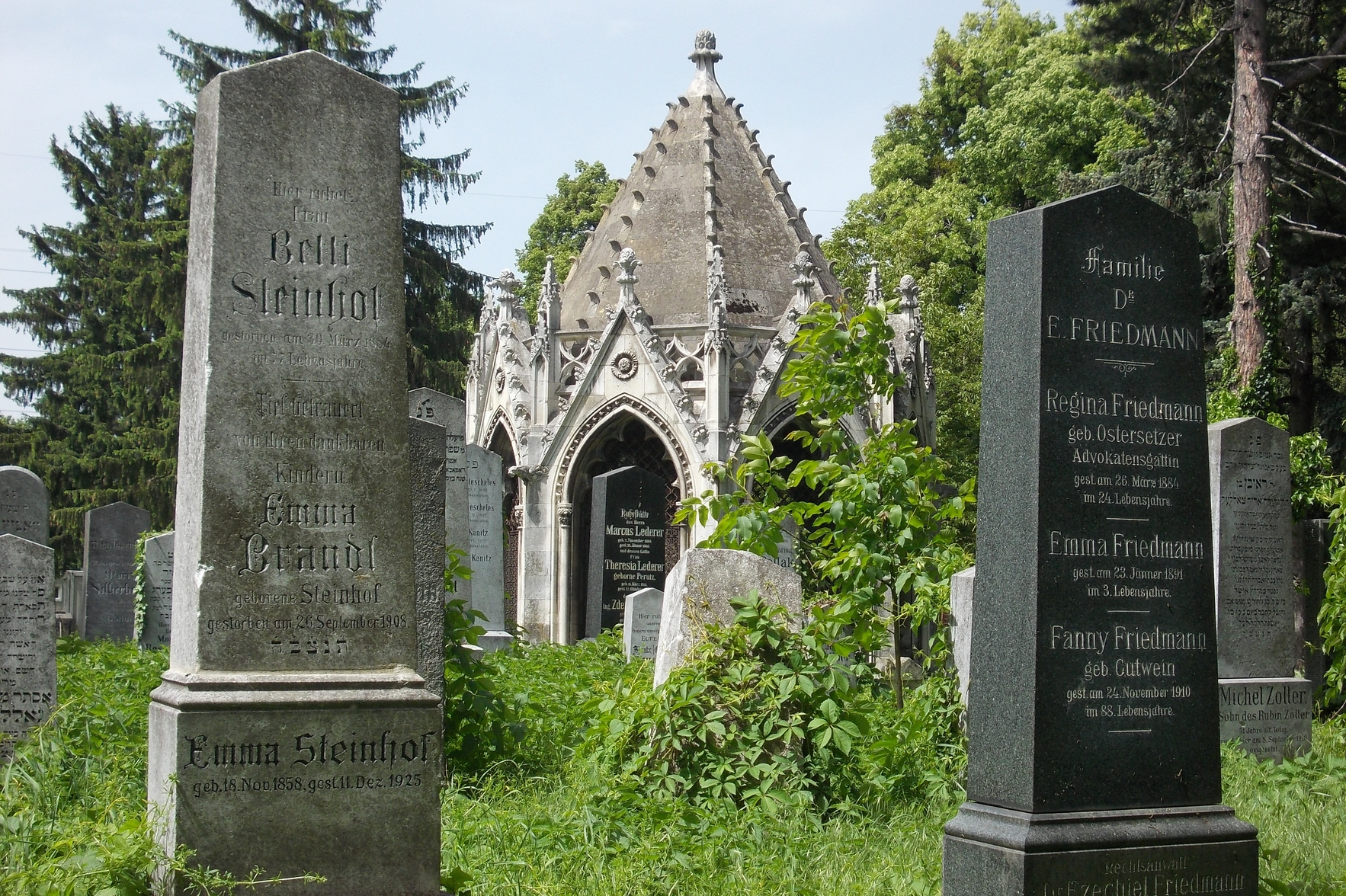 Between Memory and Oblivion—The Jewish Cemeteries in Vienna - Leo Baeck ...